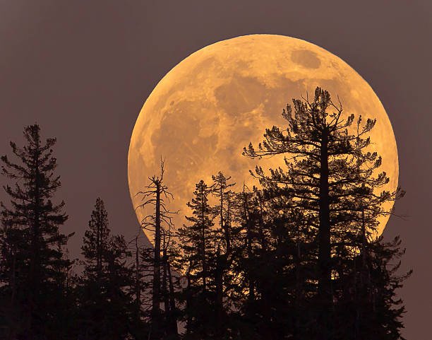 Maior Superlua de 2024 ilumina o céu nesta quinta; saiba como observar ...